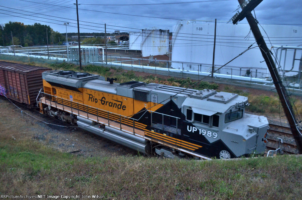 UP 1989 "Rio Grande"